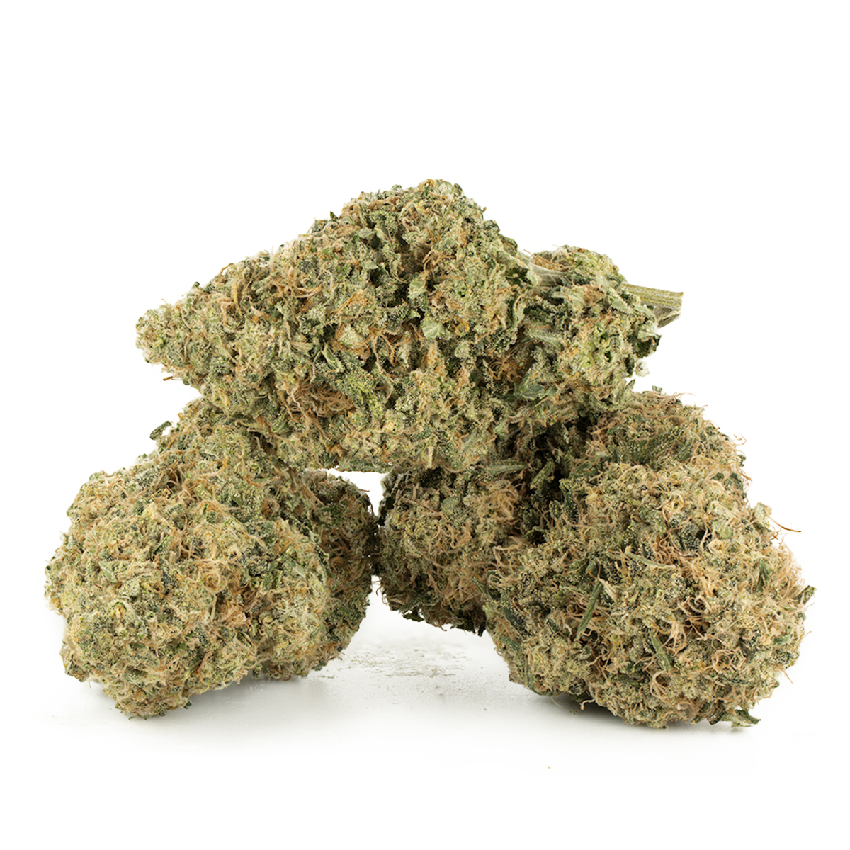 Orange Push Pop Weed Delivery Gasdank Torontos Best Online Dispensary